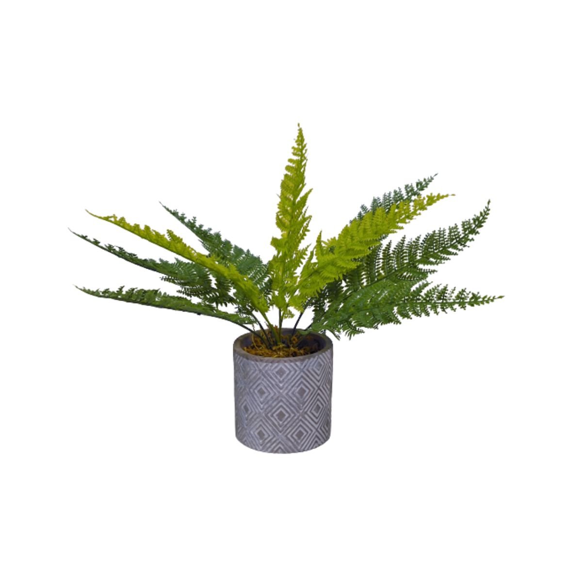 Arranjo Flores Samambaia Artificial Toque Real Planta e Vaso ...