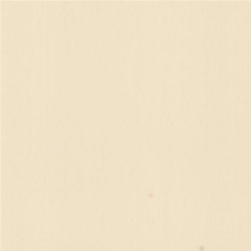PAPEL DE PAREDE TNT LISO 53CM X 10M 319012 | MadeiraMadeira