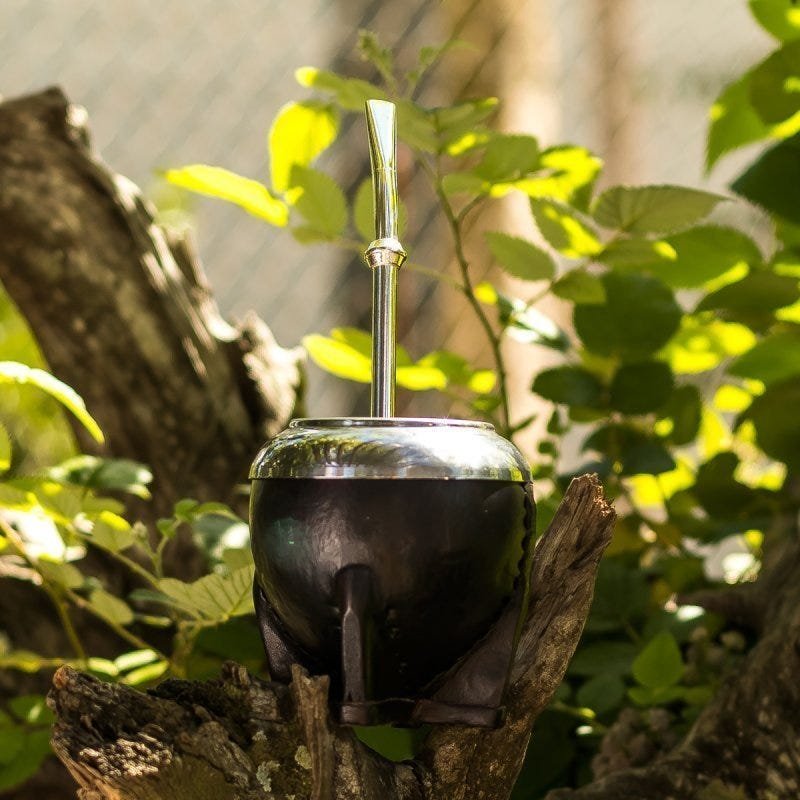 Bomba De Chimarrão Cuia Alpaka Bomba Anel Inteira 19cm | MadeiraMadeira