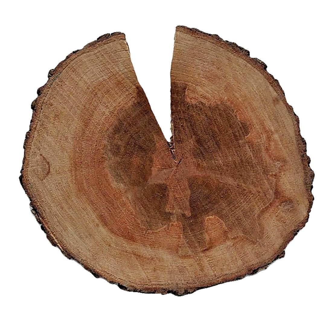 Bolacha de Madeira Rústica Aparada Rachada +-32 x 30 x 5,5cm ...