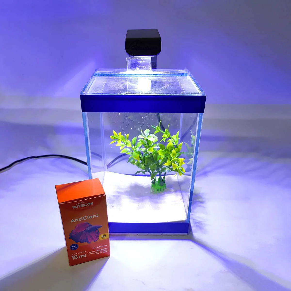 Kit Meu Primero Betta Mini Aquário Completo com Luminária FDM Aquários ...