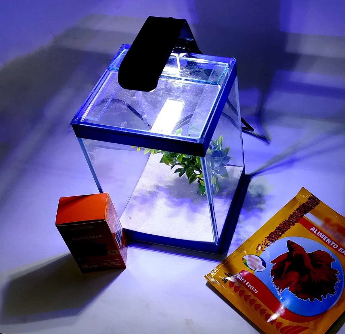 Kit Meu Primero Betta Mini Aquário Completo com Luminária FDM Aquários ...