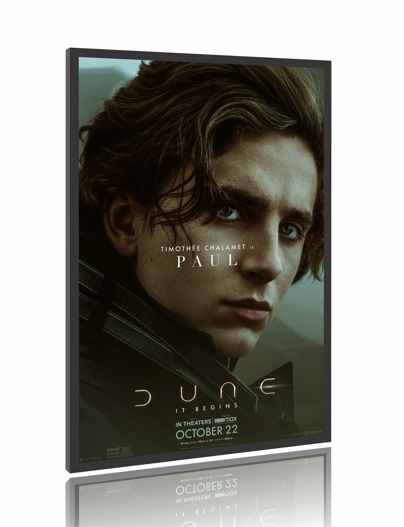 Quadro Pôster Filme Dune 60x90 | MadeiraMadeira