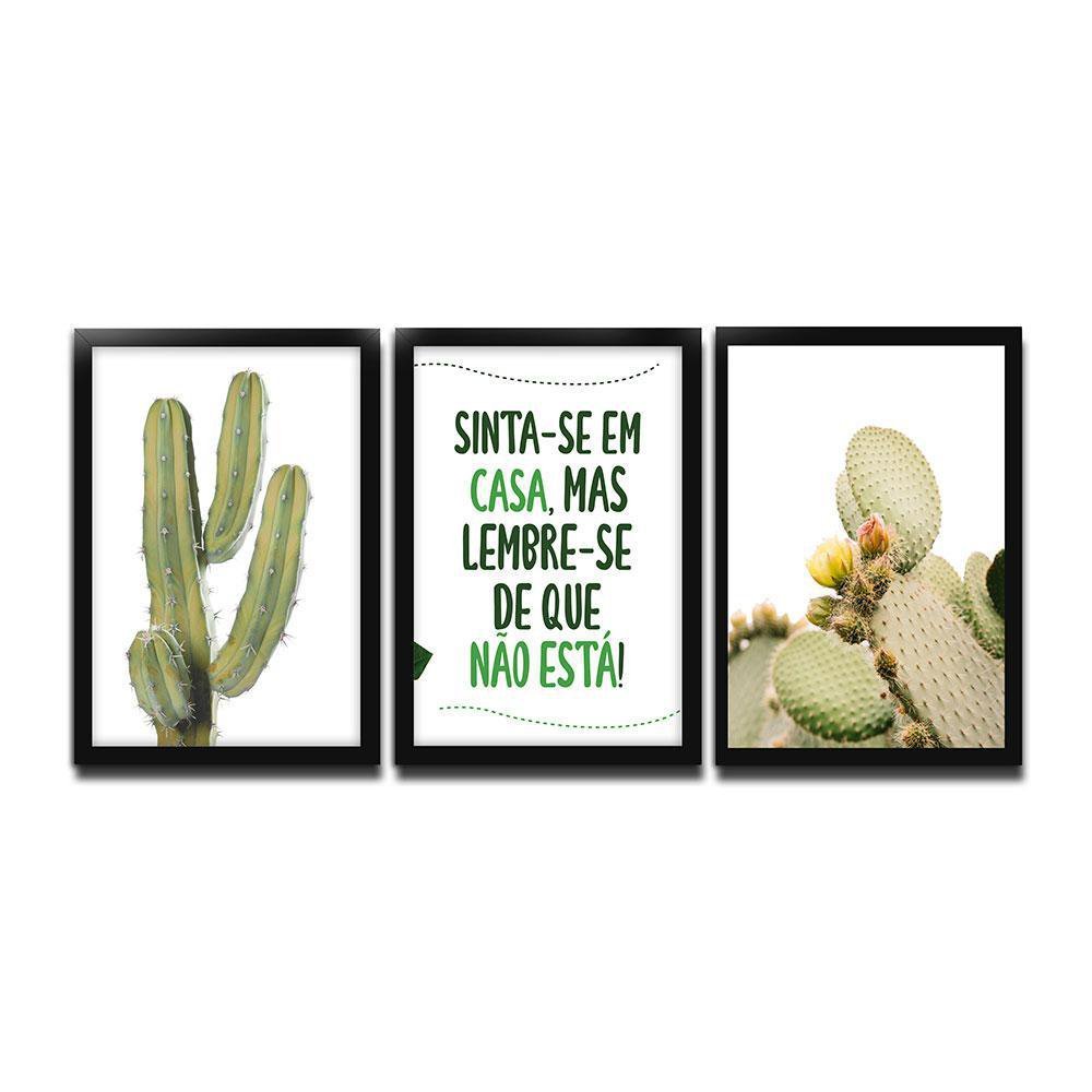 Kit 3 Quadros Decorativos Quarto Cacto Frases Engraçadas | MadeiraMadeira
