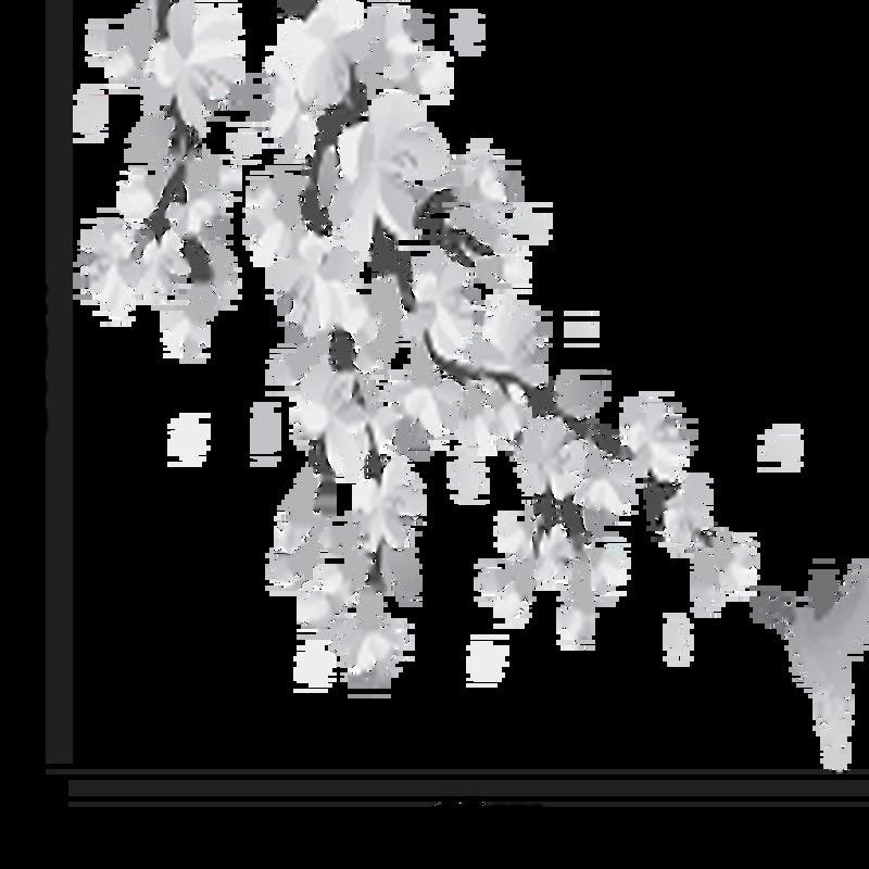 Adesivo de Parede Floral Galho e Beija Flor | MadeiraMadeira