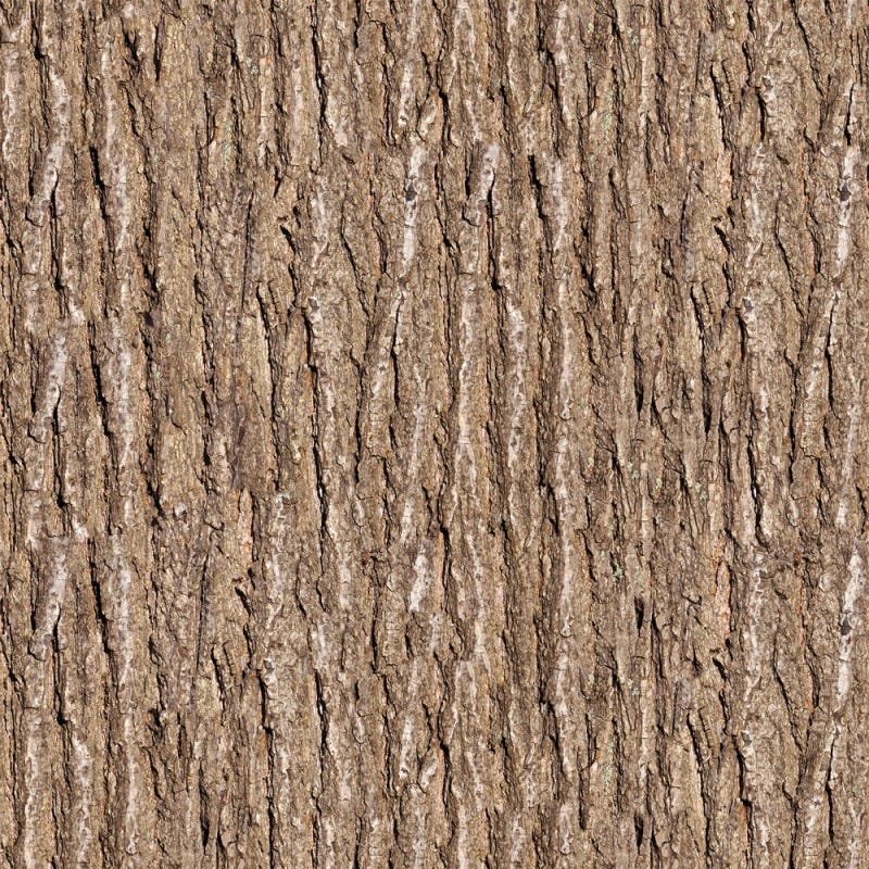 Papel de Parede Adesivo - Tronco - N0009 | MadeiraMadeira