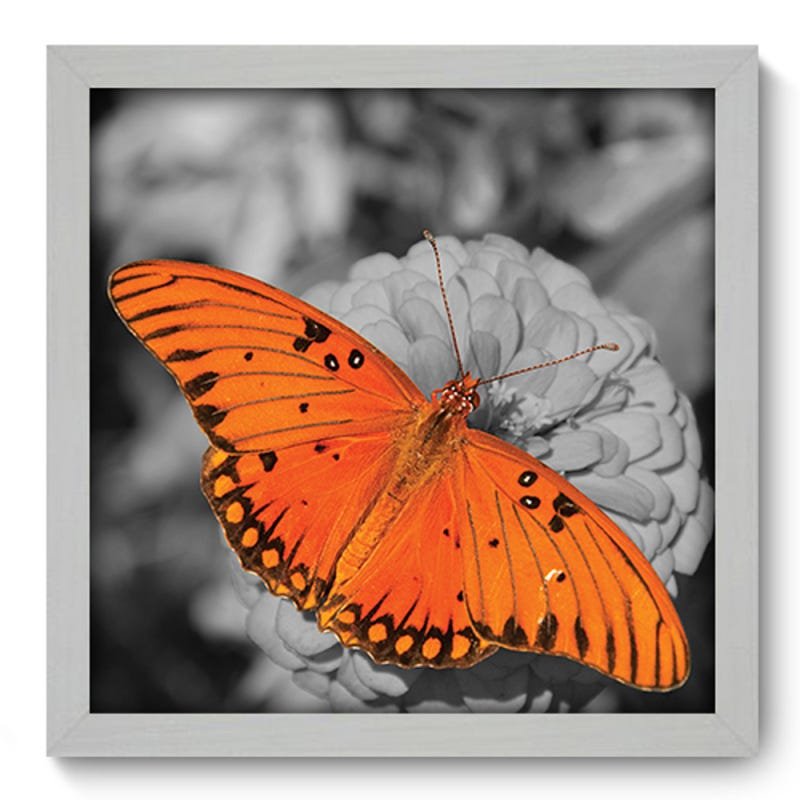 Quadro com Moldura - 33x33 - Borboleta - N1200 | MadeiraMadeira