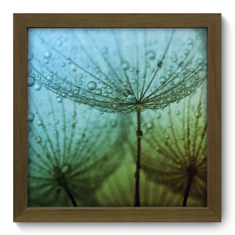 Quadro com Moldura - 22x22 - Dente de Leão - N2037 | MadeiraMadeira