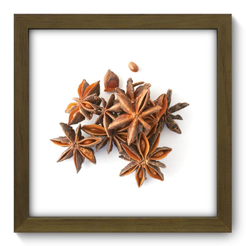 Quadro com Moldura - 22x22 - Anis - N2109 | MadeiraMadeira