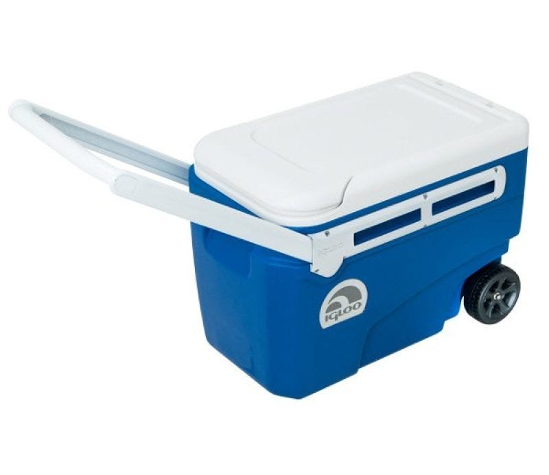 Caixa Térmica Cooler Contour Glide 36L - Igloo | MadeiraMadeira