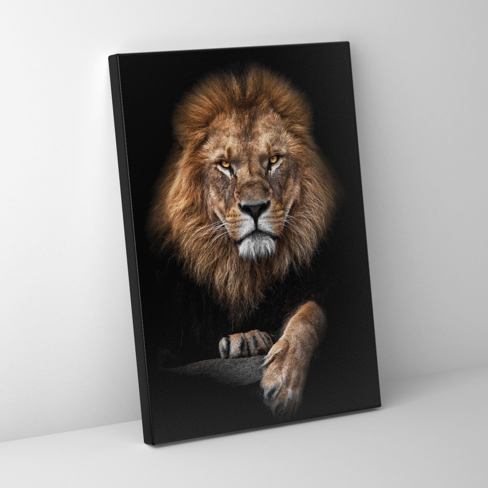 Quadro Foco do Leão - 1 Tela | MadeiraMadeira