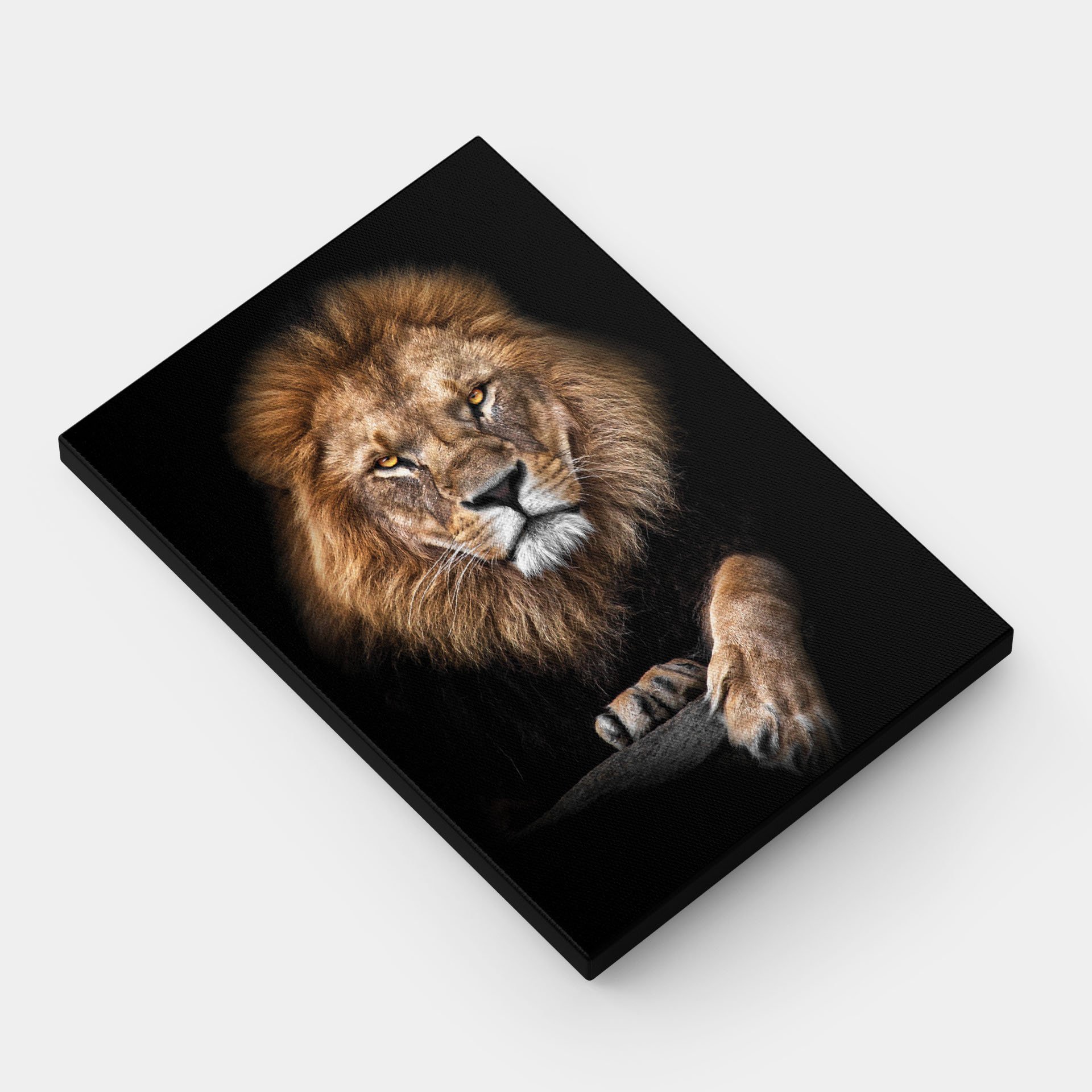 Quadro Foco do Leão - 1 Tela | MadeiraMadeira