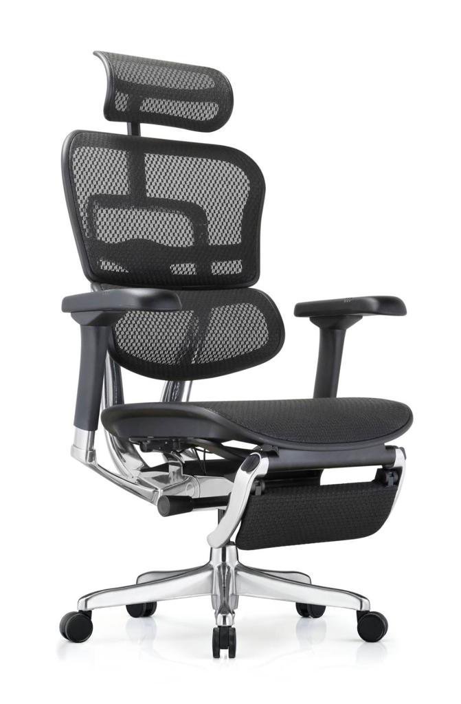 Cadeira Ergonomica Modelo Ergohuman v2 2.0 | MadeiraMadeira