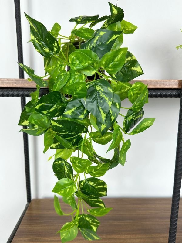 Planta Pendente Artificial Jiboia 50cm Vaso Cerâmica Preto | MadeiraMadeira