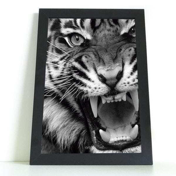 QUADRO DECORATIVO TIGRE PRETO E BRANCO COM VIDRO - 30x40 | MadeiraMadeira