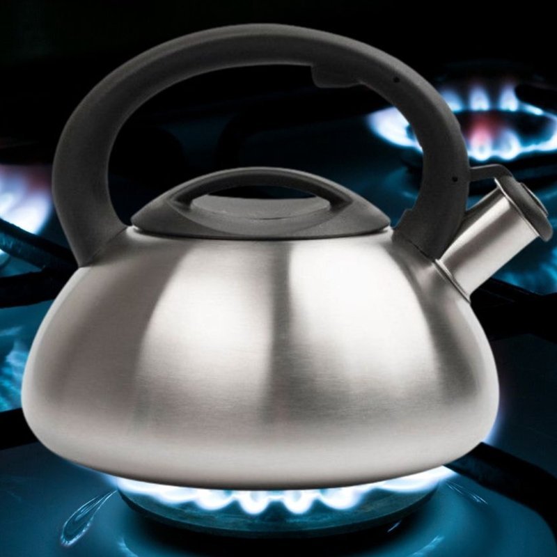 Chaleira Aço Inox Com Apito E Revestimento Interno 3 Litros ...