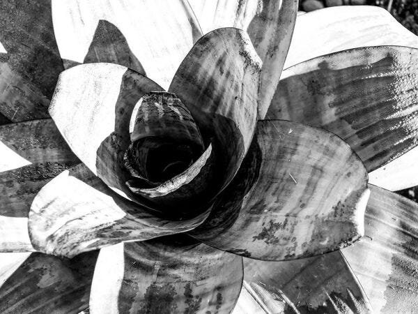 Tela Decorativa - IDF095 - Retangular - 80 x 60cm | MadeiraMadeira