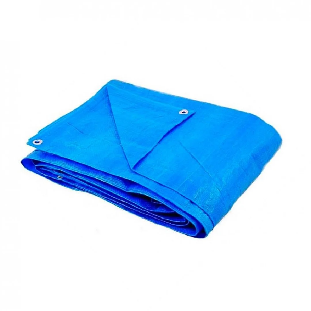 LONA DE POLIETILENO 6M X 4M AZUL - THOMPSON | MadeiraMadeira