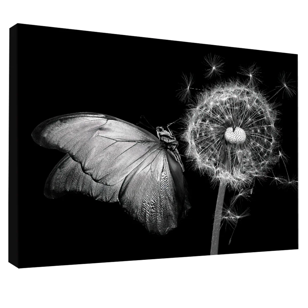 Quadro Decorativo Borboleta em Um Dente-de-leão | MadeiraMadeira
