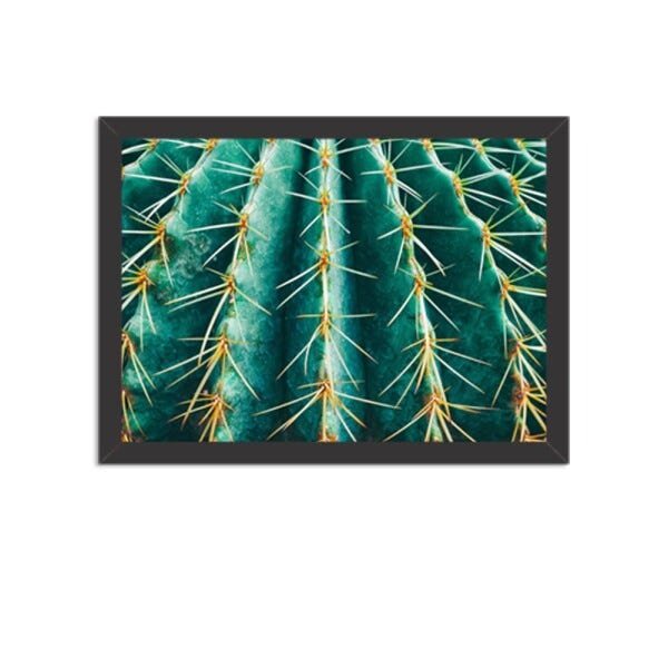 Quadro Decorativo Cacto Verde | MadeiraMadeira