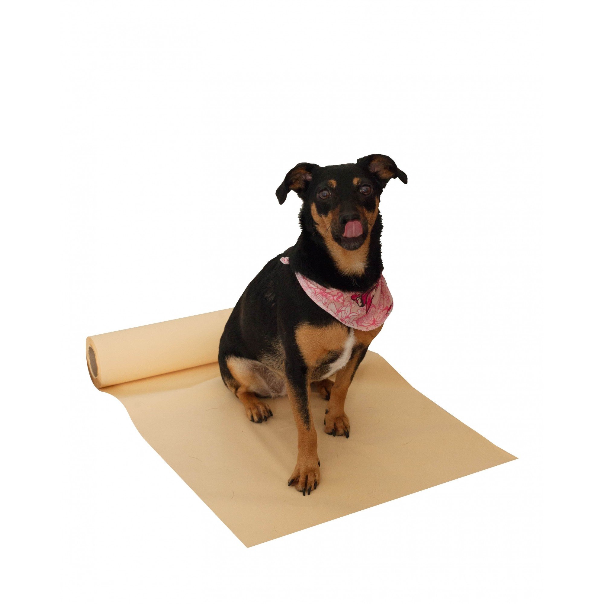 Bobina de Papel Pet Para Sanitário Com 60cm x 50m Papel Madruga Papel ...