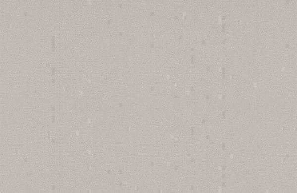 Papel de Parede Liso Texturizado Marrom Claro - PP391-1 Rolo de 16m2 ...