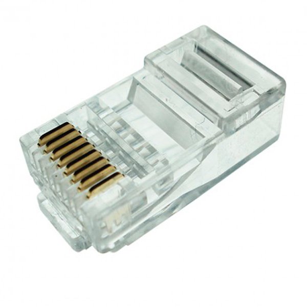Conector RJ45 Macho Categoria 6 Kit 100 Unidades | MadeiraMadeira