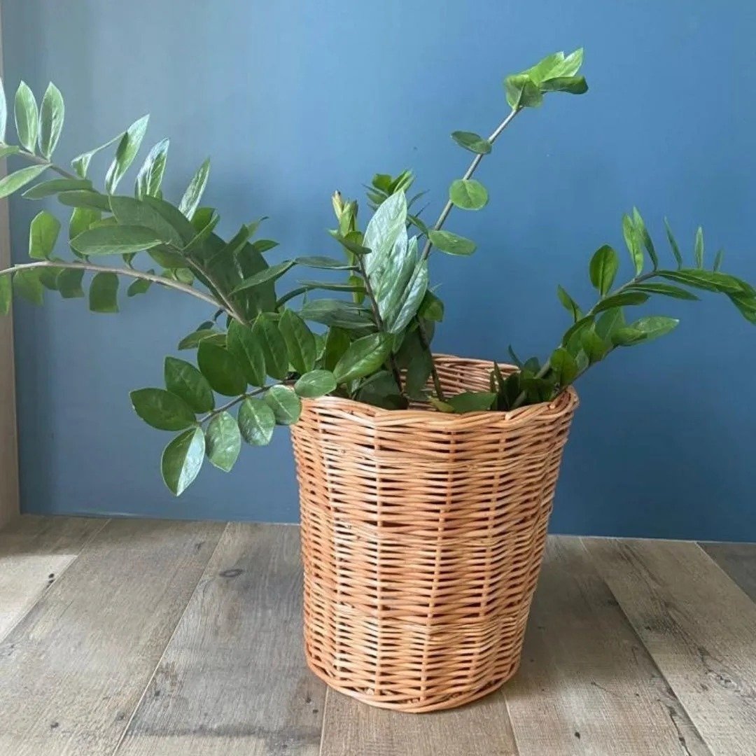 Cesta De Vime Para Vaso De Plantas Cesta De Plantas Cachepot ...
