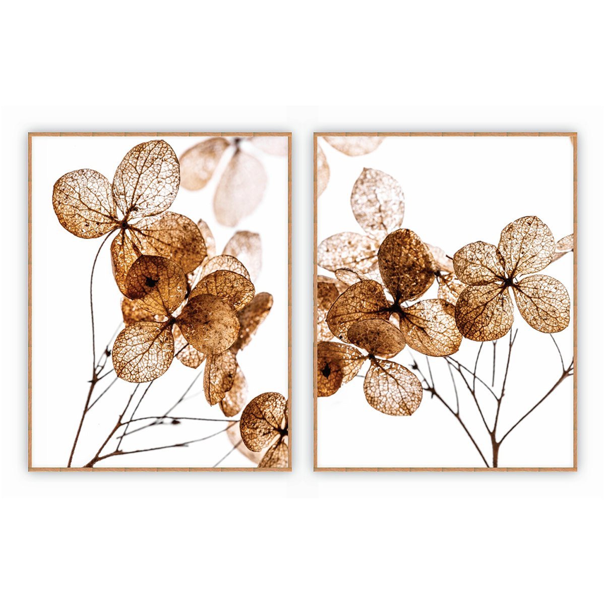 kit com 2 Quadros Decorativos Florais com Moldura e Vidro para Sala ...