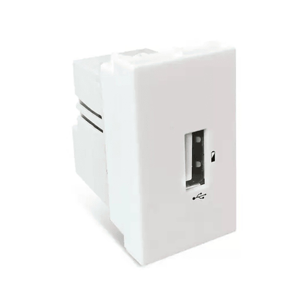 Módulo Tomada Carregador Usb 1.0a 127/220v Stella Steck | MadeiraMadeira