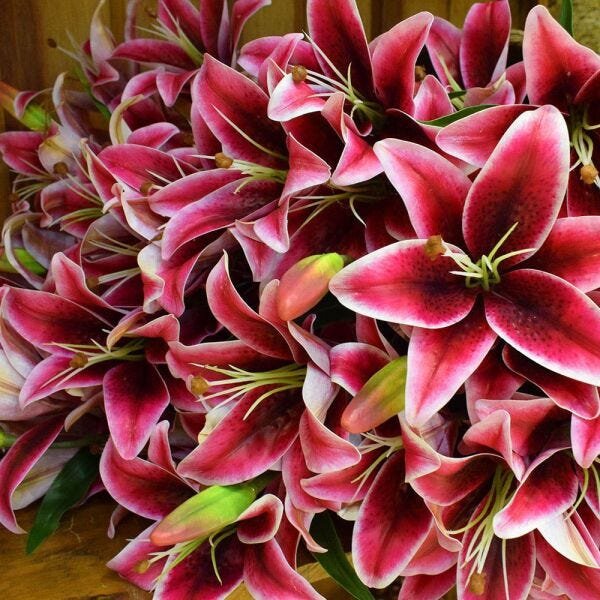 Flores artificiais Buquê de Lírios Pink Artificial|Linha permanente ...