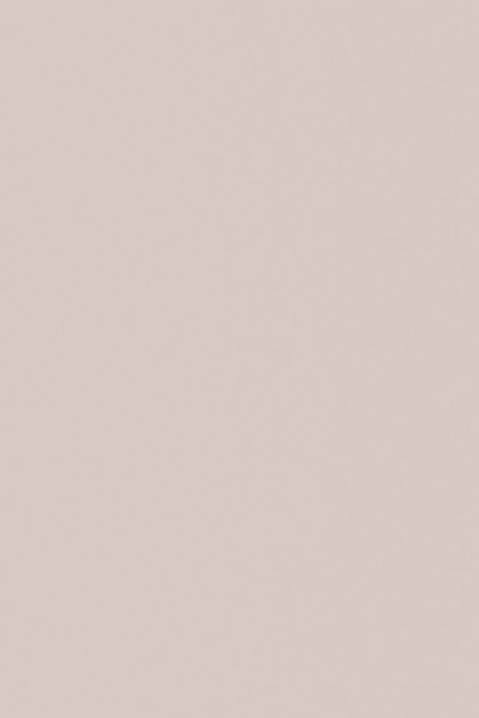 Rack Tube 2 portas 1 Nicho 132x62x42 Sal Rosa - Mdf Arauco | MadeiraMadeira