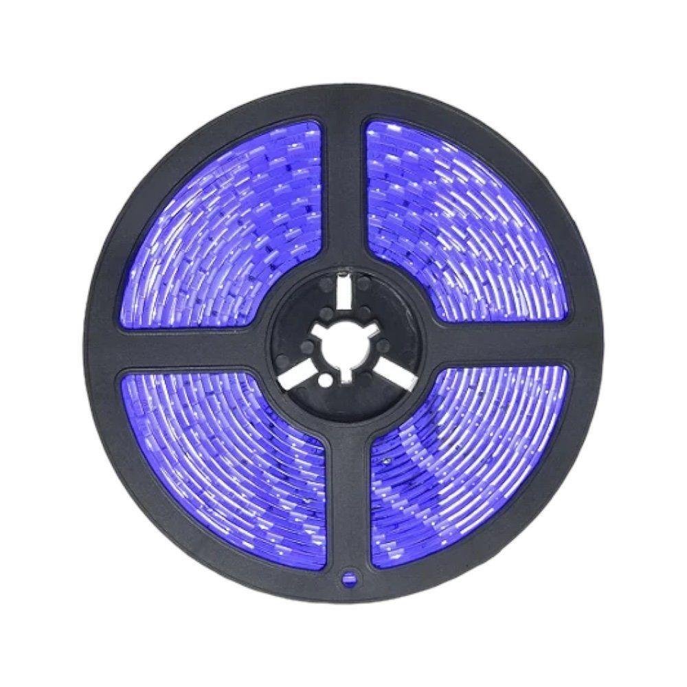 Fita de Led 12v Azul 5050 5 Metros | MadeiraMadeira