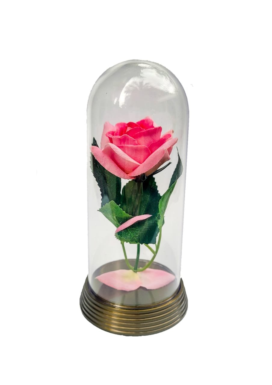 Linda Redoma com Rosa Rosa , inspirada na A Rosa Encantada do filme a A ...