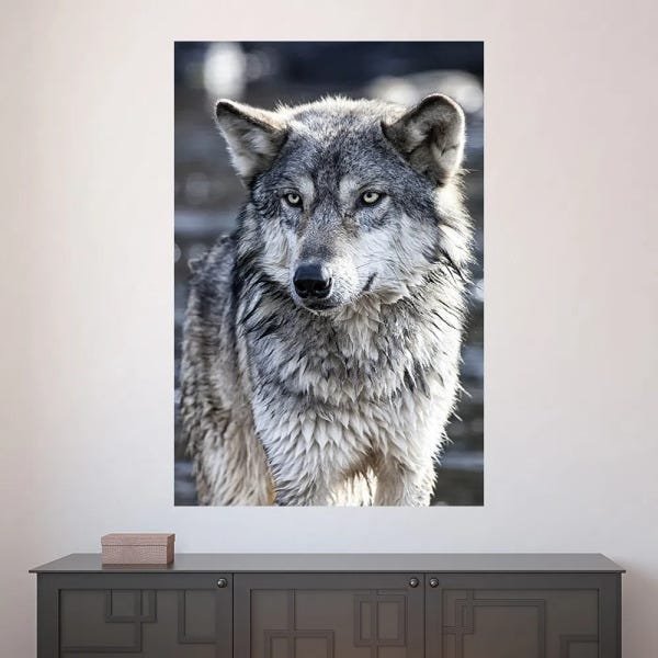 Painel Adesivo de Parede - Lobo - Animais - 1425png | MadeiraMadeira