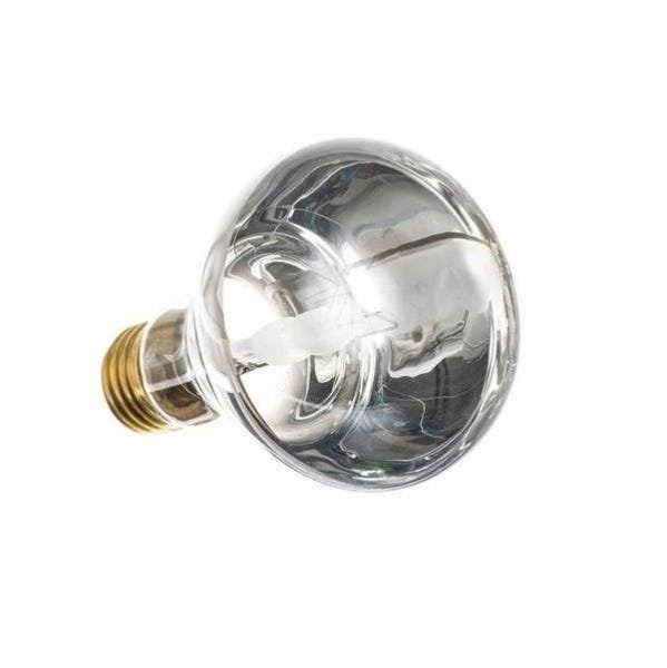 Lâmpada Zoomed Halogen Heat Lâmpada Repti 100W 110V | MadeiraMadeira