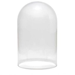 Redoma de vidro lisa - média | MadeiraMadeira