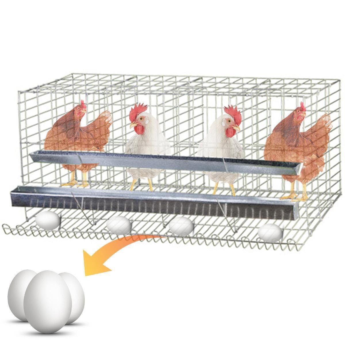 Gaiola Galinha Poedeira Ovo Postura 8 Aves Viveiro 4 Divisão ...