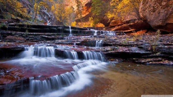 Papel de Parede Paisagens Cachoeira53 - 2,40 X 3,10 | MadeiraMadeira
