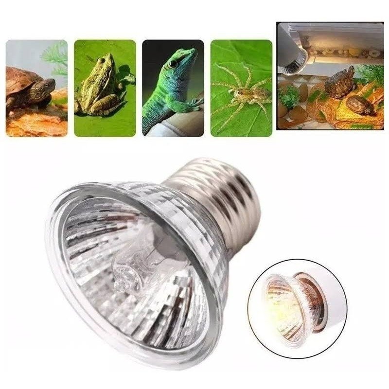 Lampada Uva Uvb Aquecimento Repteis Tartarugas Para Terrario 220V 50w | MadeiraMadeira