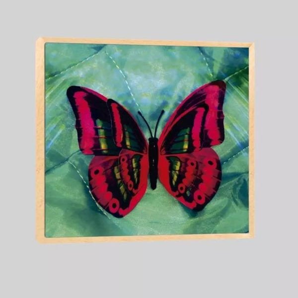 Quadro Borboleta 80x80 Moldura Bege | MadeiraMadeira