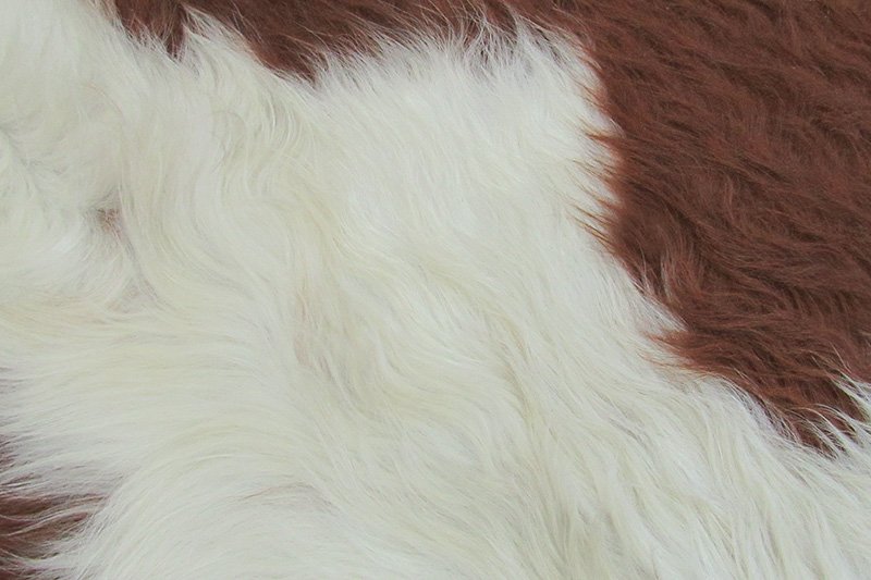 Tapete de couro de boi. Pele bovina natural. L 2,20 x C 2,20 m. Marrom ...