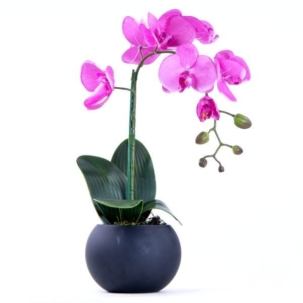 Arranjo de Orquidea Pink Toque Real Pluma | MadeiraMadeira