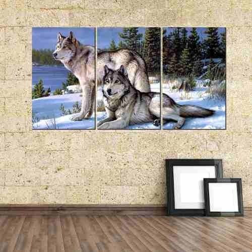 Quadro Decorativo Natureza Animais Lobos Selvagens | MadeiraMadeira