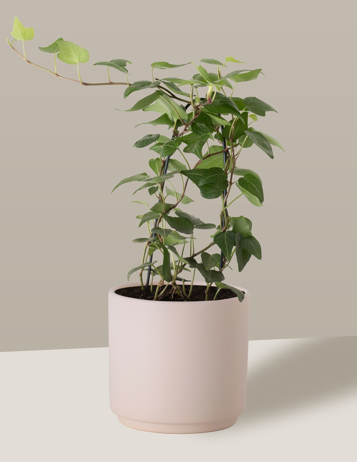 Vaso Cachepô de Cerâmica para Plantas Creme PEQ | MadeiraMadeira