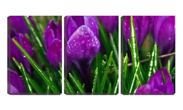 Quadro Decorativo 80x140 pétalas e folhas verdes na chuva | MadeiraMadeira