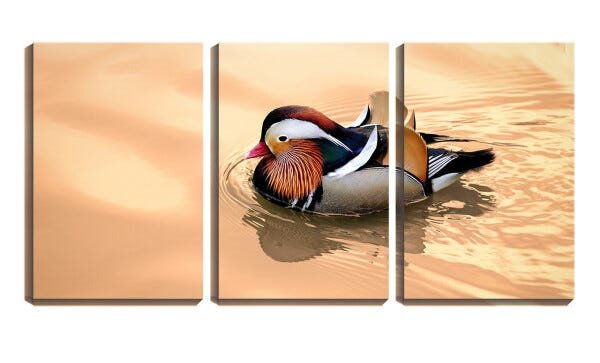 Quadro Decorativo 30x66 pato colorido na água | MadeiraMadeira