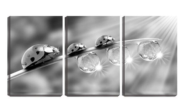 Quadro canvas 55x110 joaninhas na folha pb | MadeiraMadeira