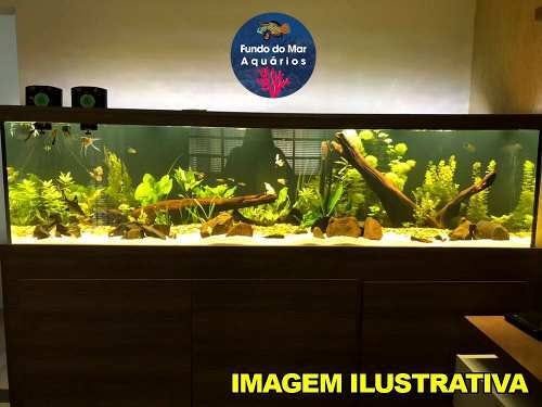 Luminária Led Nemo Light Plantado 36w Garantia De 1 Ano | MadeiraMadeira
