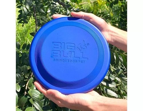 Frisbee de Borracha Leve e Fluua na Água para Cães Big Bull ...